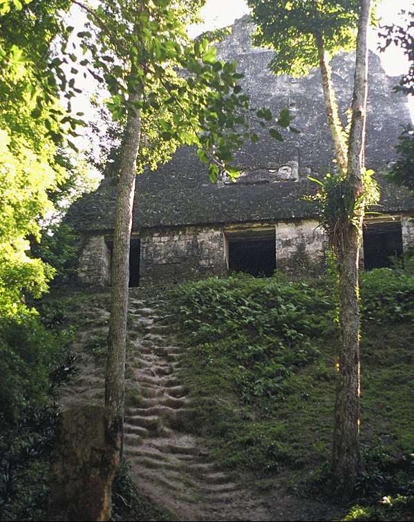 Tikal Temple of the Inscriptions | Maya Ruins of Tikal